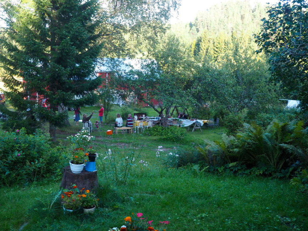 Enterorokon hyvät puolet – Asikaine